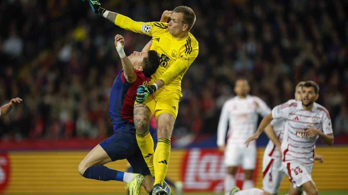 Malu trvejo nudes excellent choice for the price.