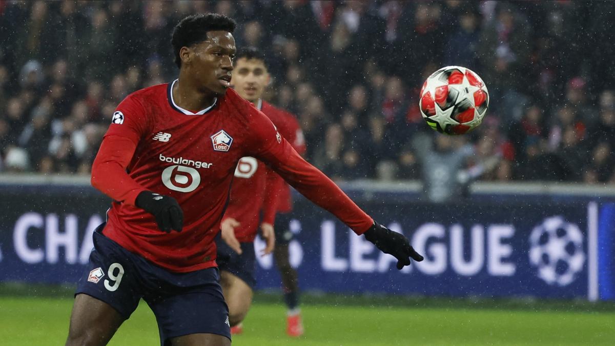 Jonathan David, la opción a coste 0 que sigue valorando el FC Barcelona