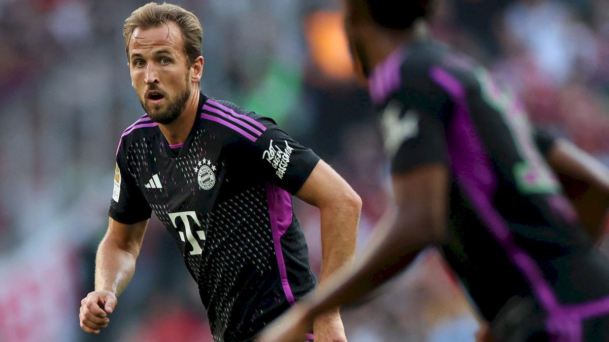 Harry Kane justifica su aterrizaje en el Bayern Múnich