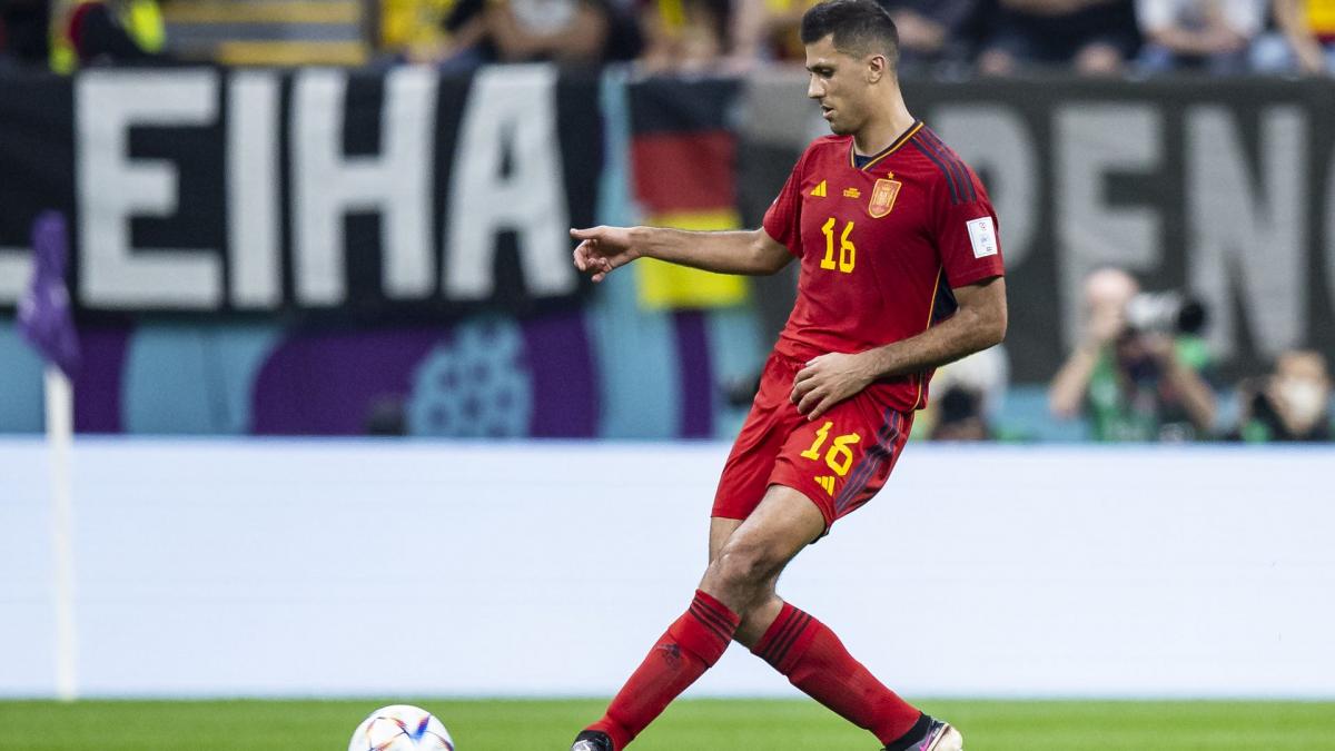 Mundial 2022 | Rodri, la positiva sorpresa de la Selección Española