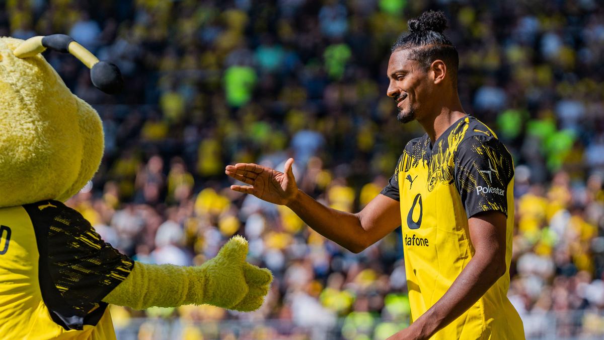 Sébastien Haller tiene nuevo equipo